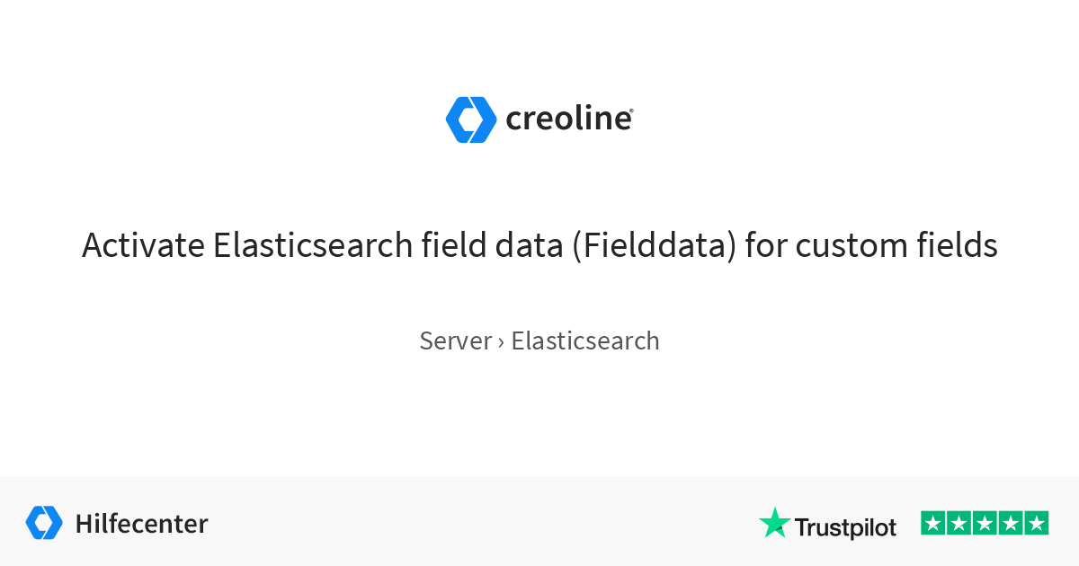Activate Elasticsearch field data (Fielddata) for custom fields